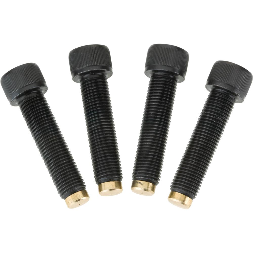 Brass Tip Screws for Round Plate, 4 pk at Grizzly.com