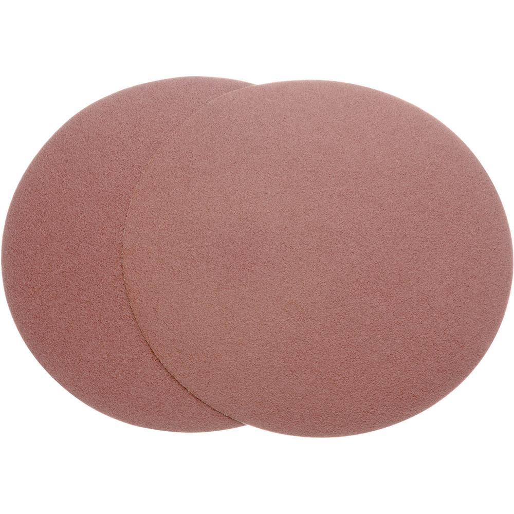 10" A/O Sanding Disc, 60 Grit PSA, 2 Pk. - Grizzly Industrial, Inc.