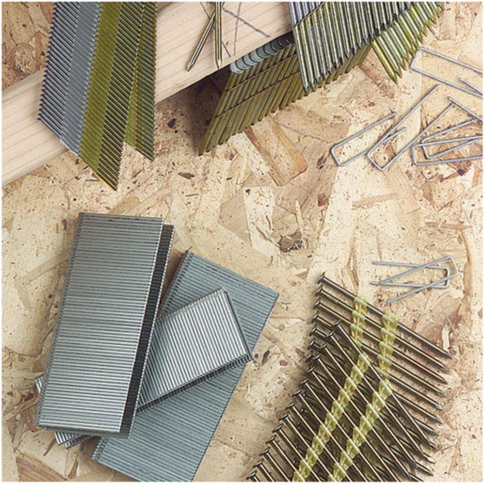 2" Cleat Nails - Box of 1000 at Grizzly.com