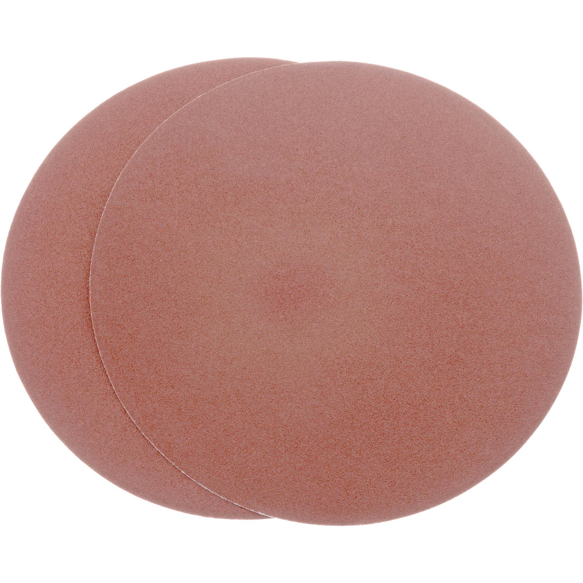 10" A/O Sanding Disc, 80 Grit PSA, 2 Pk. - Grizzly Industrial, Inc.