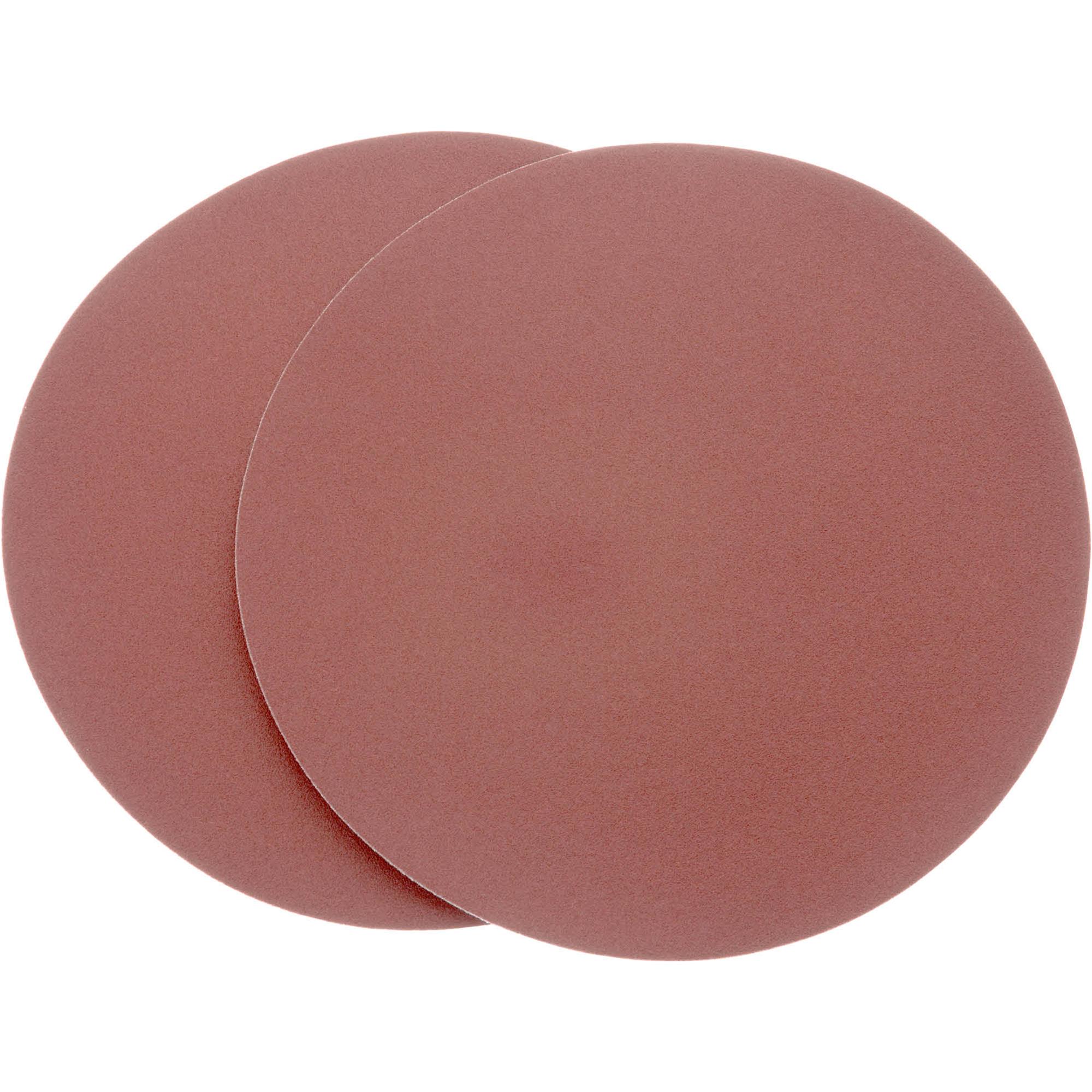 10" A/O Sanding Disc, 100 Grit PSA, 2 Pk. at Grizzly.com