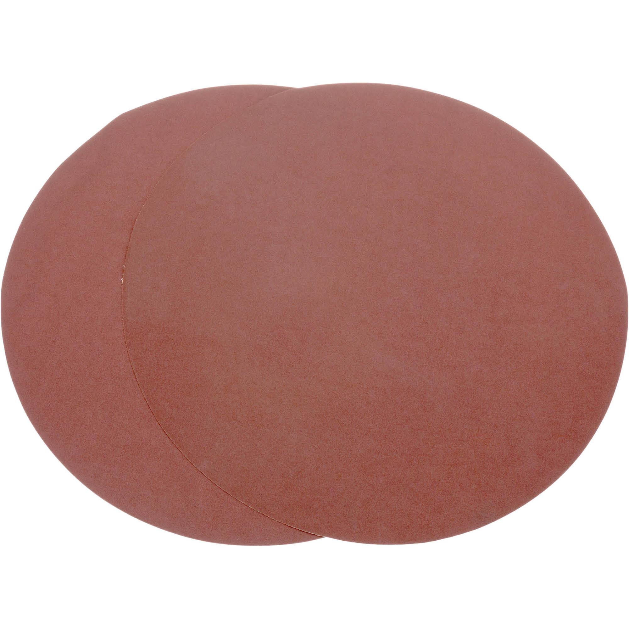 12" A/O Sanding Disc, 220 Grit PSA, 2 Pk. - Grizzly Industrial, Inc.